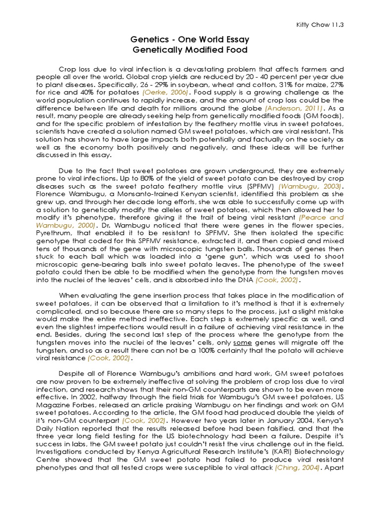 Chow Kitty 11 3 Genetics Research Essay - Genetically Modified Food ...