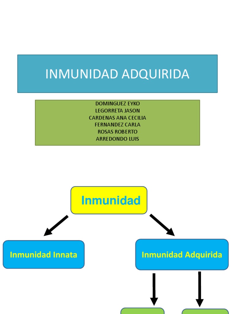 Inmunidad Adquirida | PDF | Anticuerpo | Sistema inmune