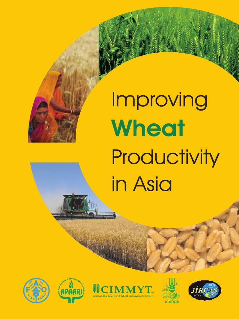 Wheat | PDF | Wheat | Food And Agriculture Organization