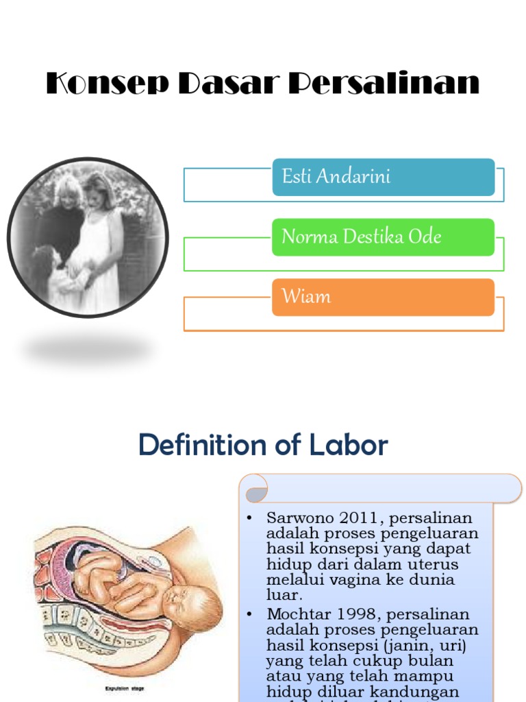 Panduan Dasar Persalinan | PDF | Kesehatan Holistik | Sains & Matematika