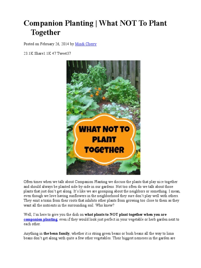 Companion Planting - What NOT To Plant Together: Mindi Cherry | PDF