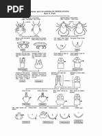 Dall Miles Surgical Protocol | PDF | Medicine | Wellness