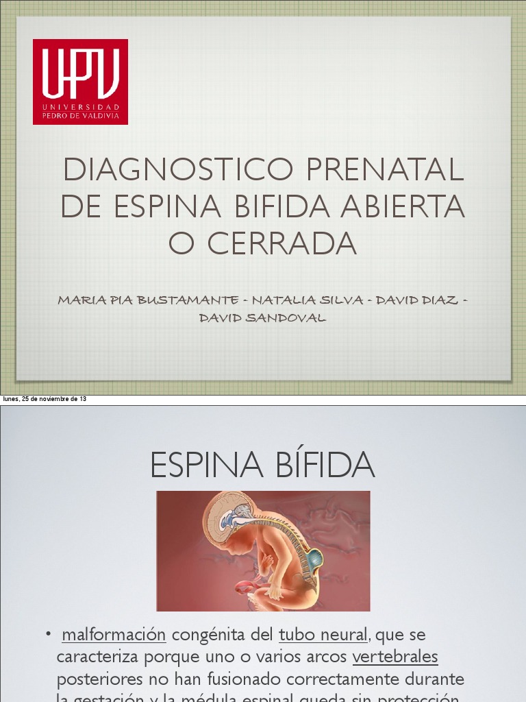 Presentacion Espina Bifida | PDF | Neurología | Enfermedades y trastornos