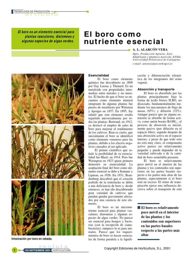 Funciones del boro en las plantas | PDF | Boro | Calcio