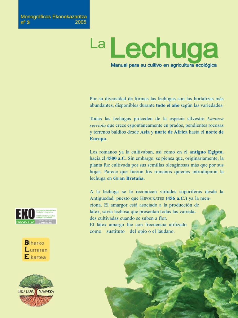 Lechuga PDF | PDF | Lechuga | Riego