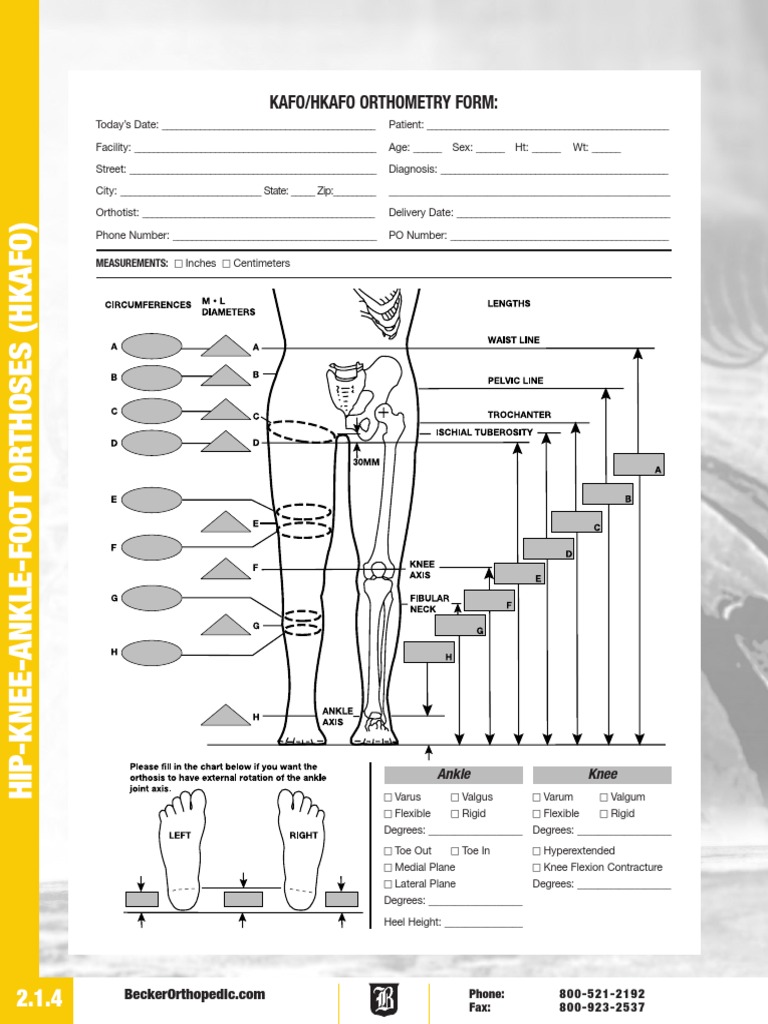 Becker Orthometry Forms | PDF | Skull | Anatomical Terms Of Motion
