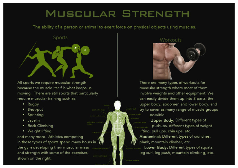 Muscular Strength for Athletes | PDF