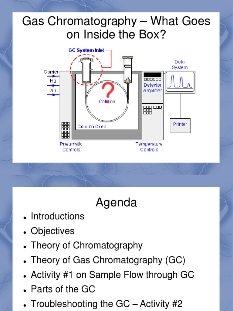 Gas Chromatography Presentation | PDF | Gas Chromatography | Chromatography