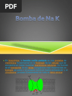 Función y Mecanismo de Bombas de Calcio | PDF | Calcio | Membrana celular