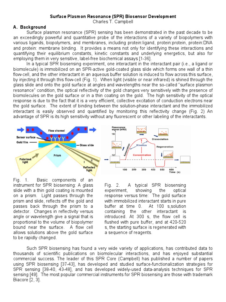 Surface Plasmon Resonance (SPR) Biosensor Development A. Background ...
