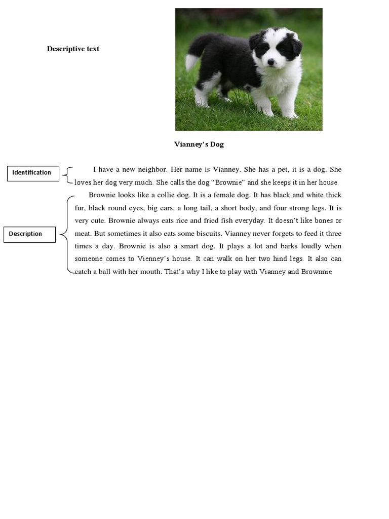 Descriptive Text | PDF