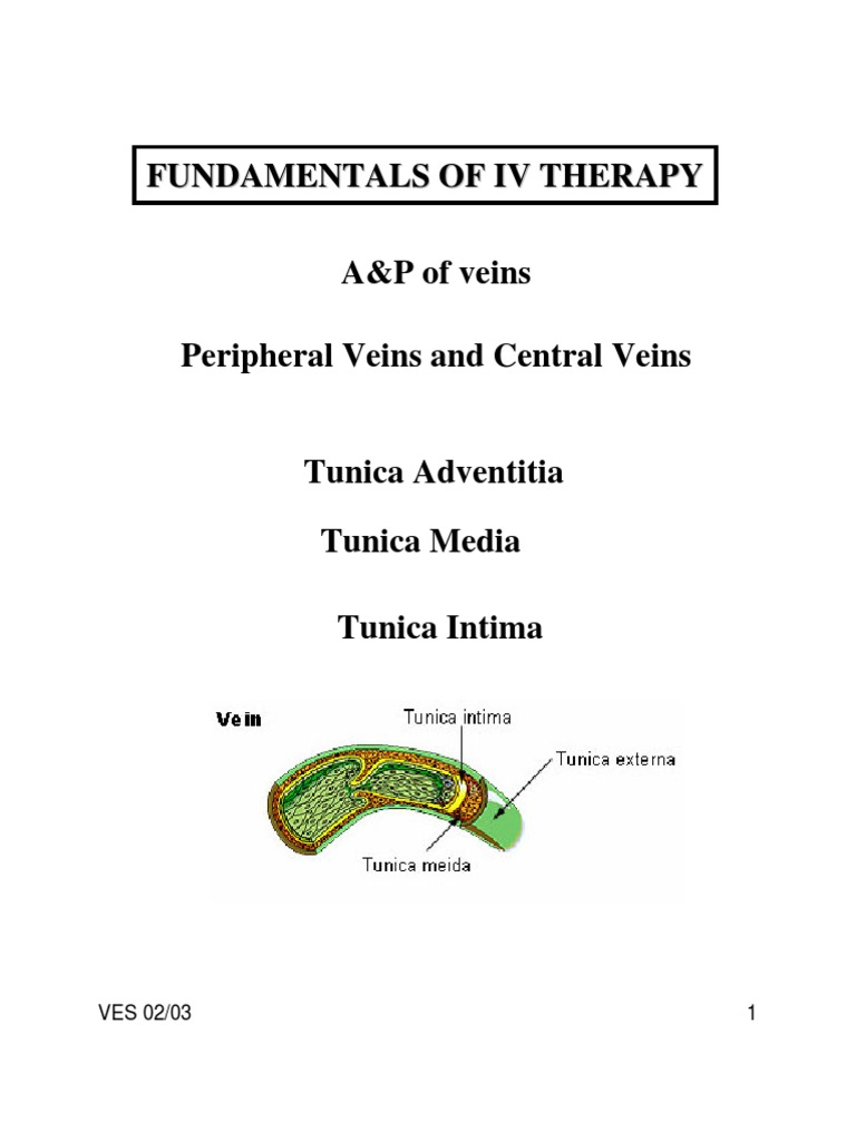 Fundamentals of IV Therapy.22613459 | PDF | Intravenous Therapy ...