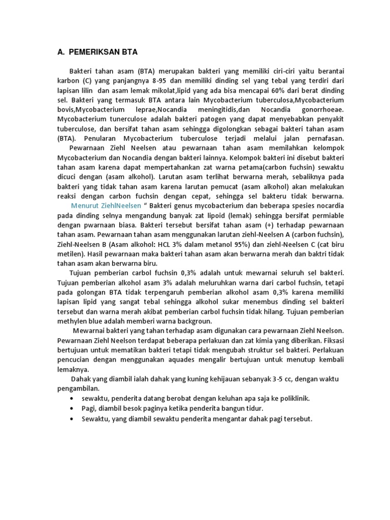 Pemeriksaan BTA | PDF