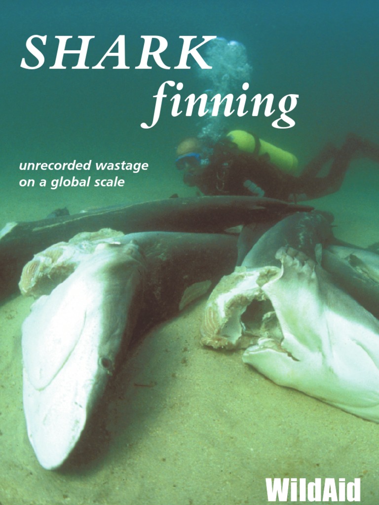 Shark Finning Report Wildaid | Download Free PDF | Sharks | Fish And Humans