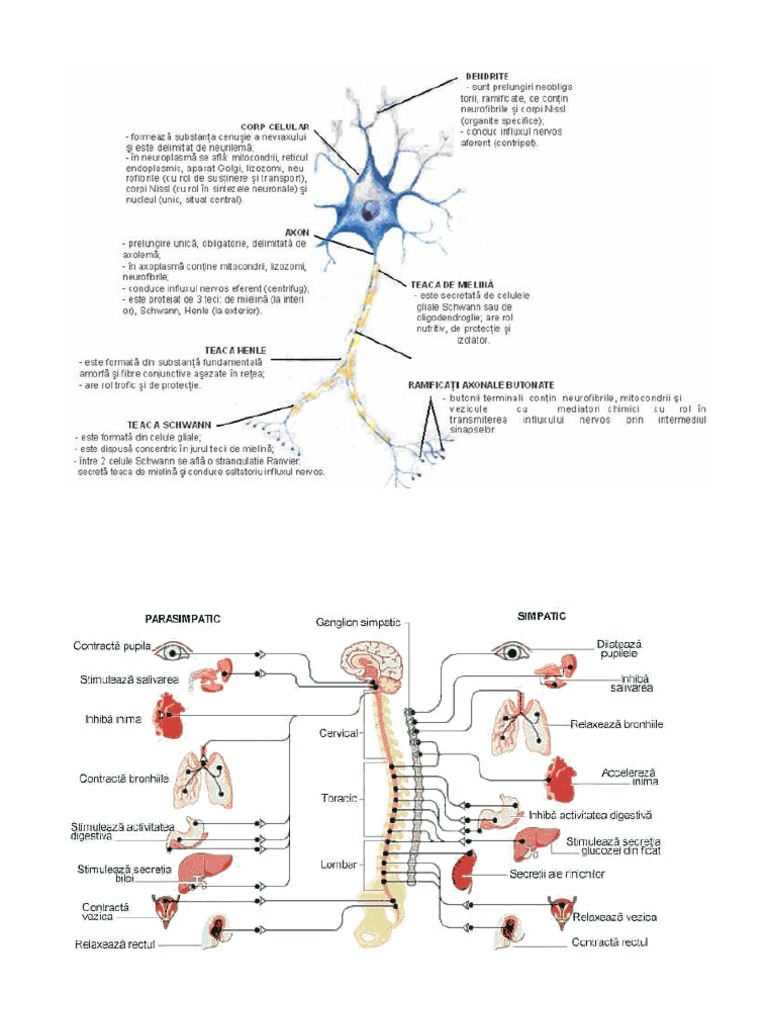 Poze Mat Biologie Bac | PDF