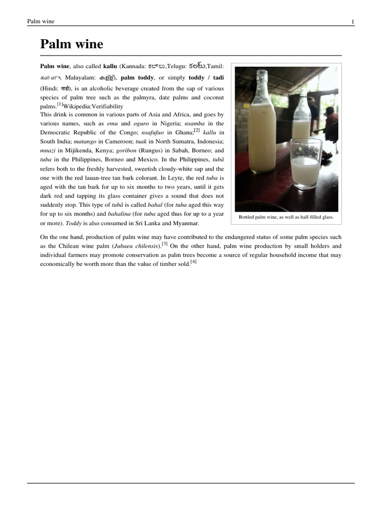 Palm Wine (Vino de Palma) | PDF | Drink | Fermented Drinks