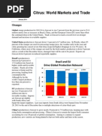 The Rozvi State | PDF