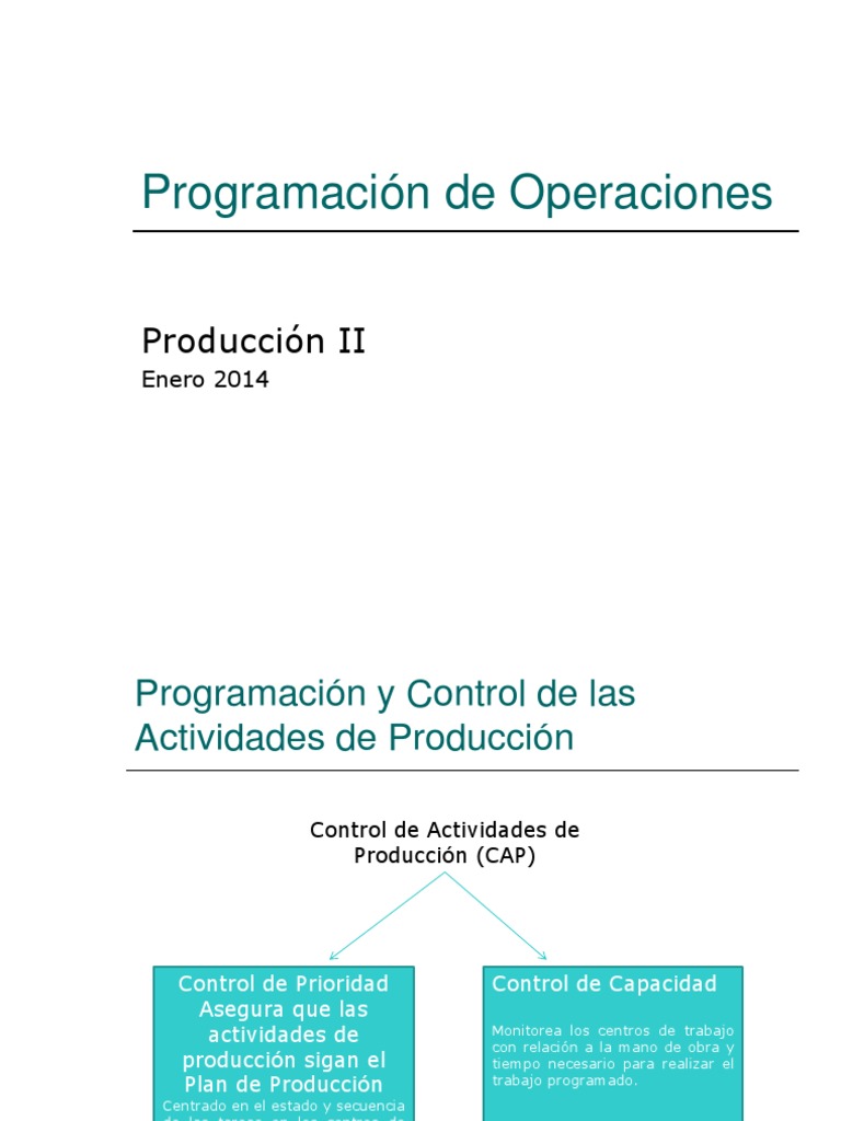 Programacion de Operaciones PDF | PDF | Programación de computadoras | Información