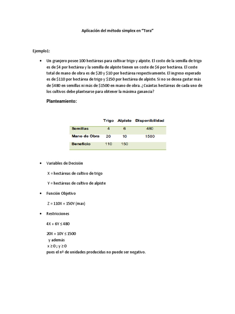 Aplicación Del Método Simplex Tora | PDF | Tecnología