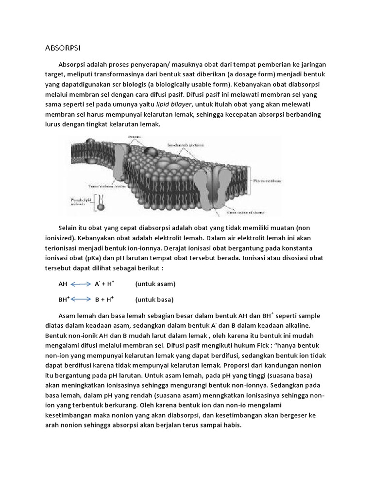 ABSORPSI | PDF