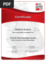 Resuscitation Triangle Roles: Compressor Team Leader | PDF ...