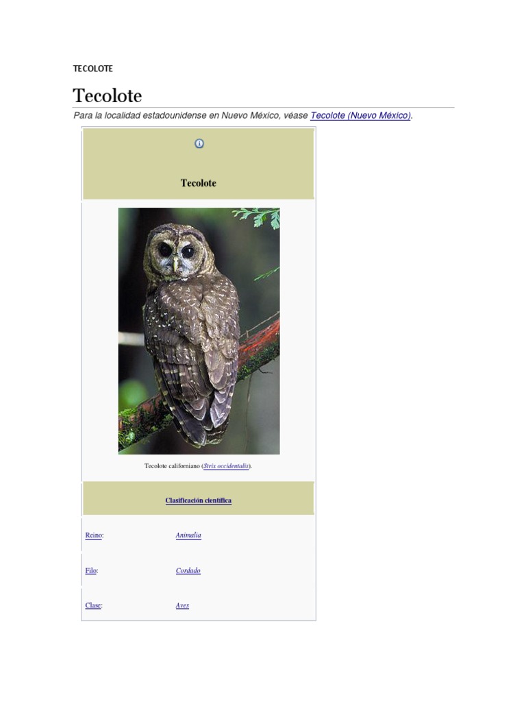 TECOLOTE | PDF | Strigiformes | Tetrápodos