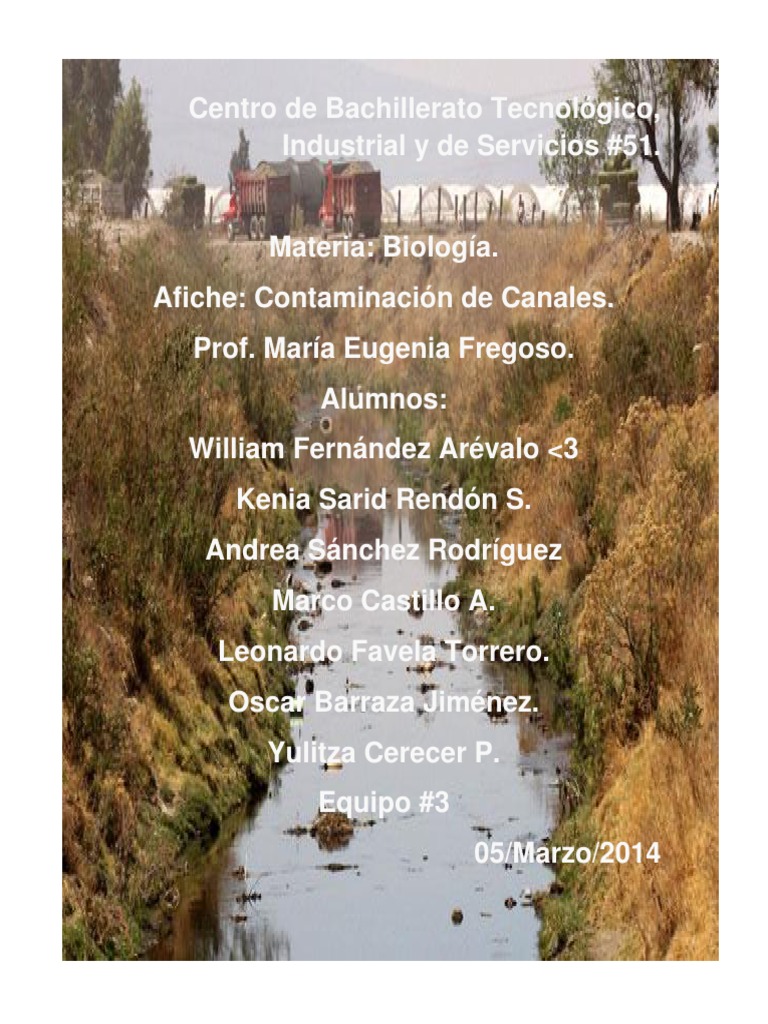 Proyecto de Contaminacion en Canales | PDF | La contaminación del agua ...