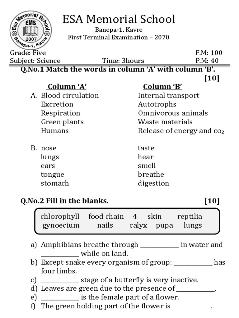7th Grade Science Exam Overview | PDF | Flowers | Butterfly
