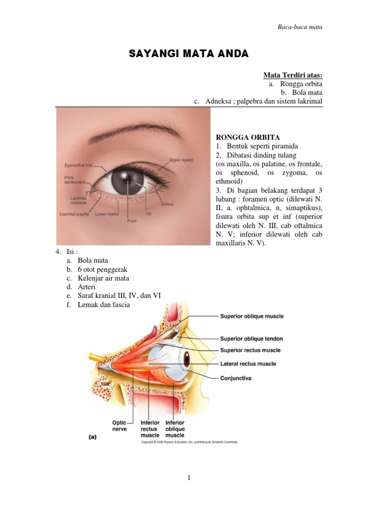 Baca Baca Mata | PDF