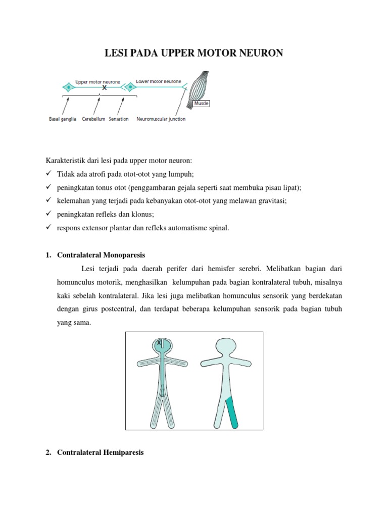 Lesi Pada Upper Motor Neuron | PDF