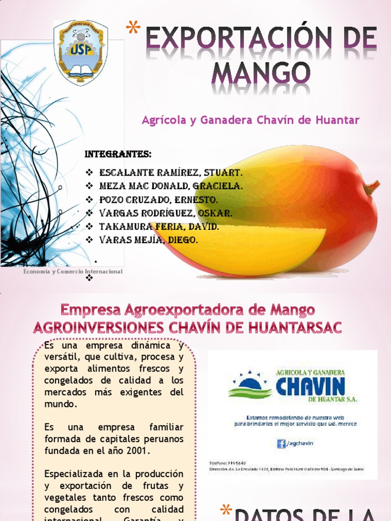 Exportación de Mango | PDF | El comercio internacional | Agricultura