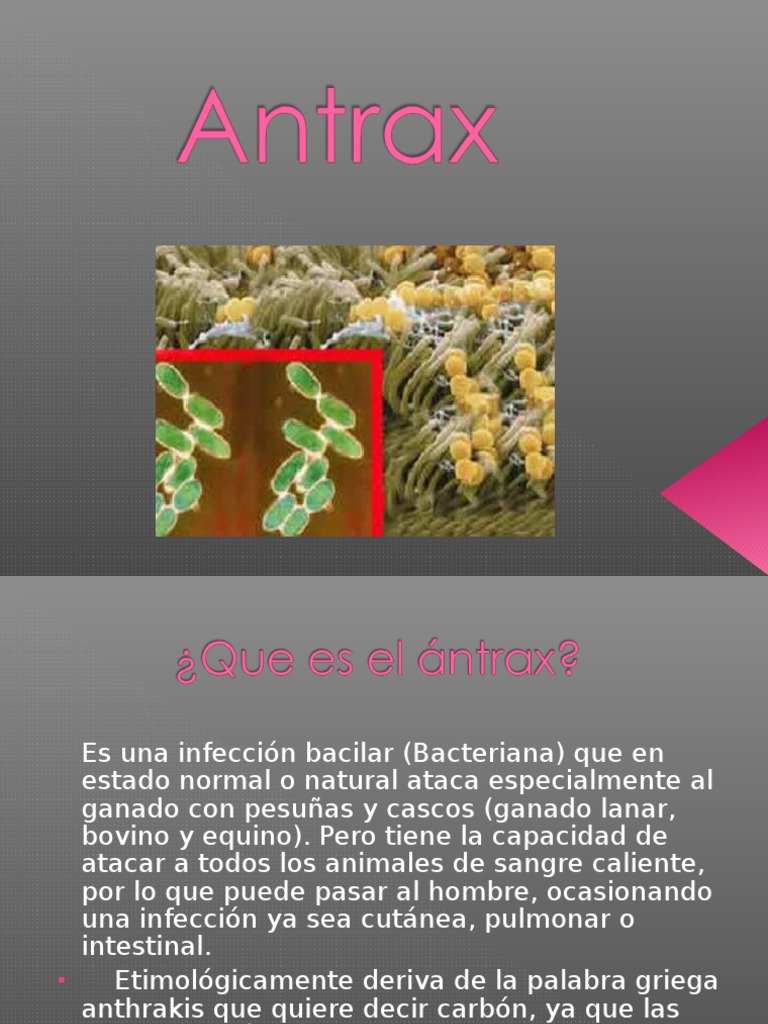 Antrax