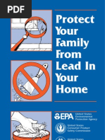Protect Your Family from Lead | PDF | Lead | Fetus