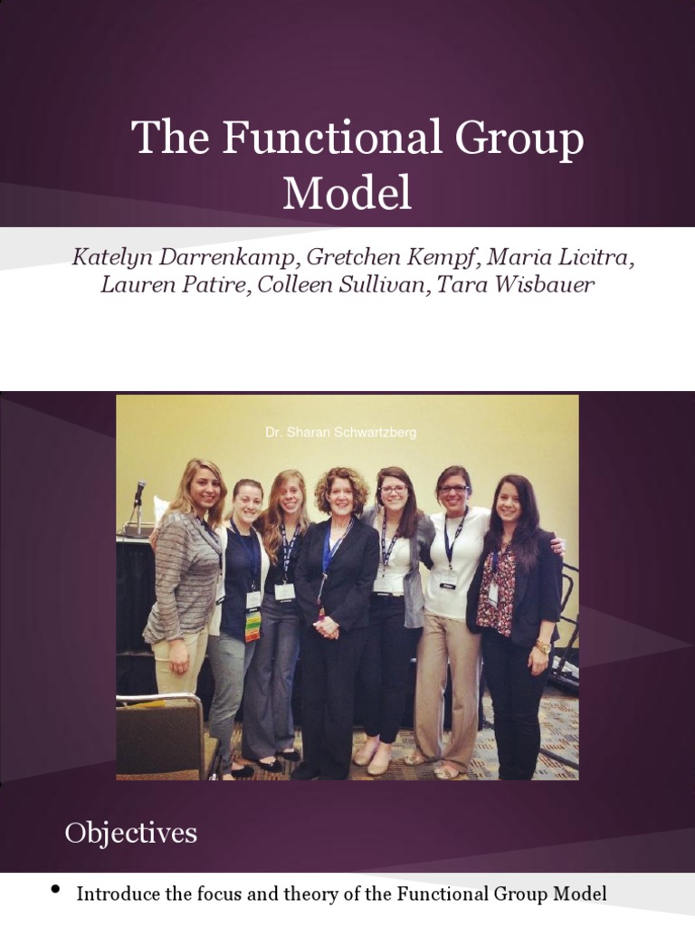 Functional Group Model | Download Free PDF | Psychotherapy | Goal
