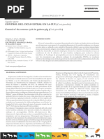 Protocolo de Sincronizacion. Ovsynch | PDF | Vacas | Reproducción humana