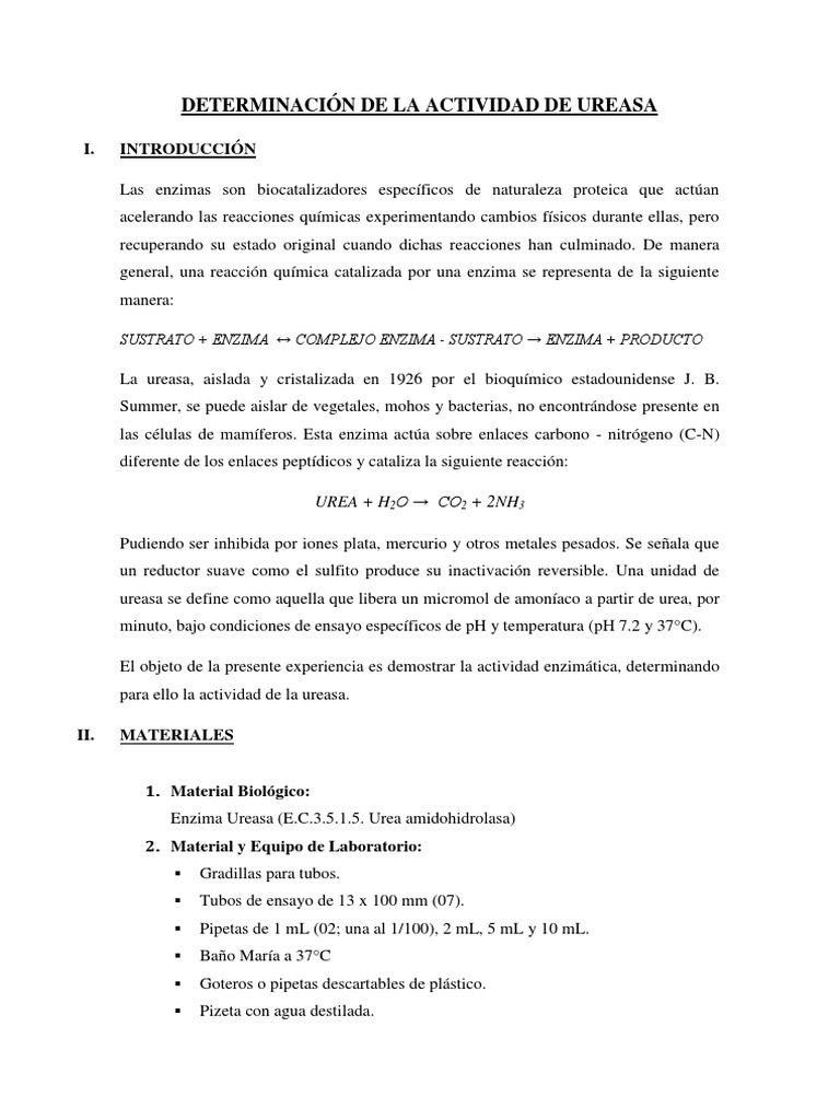 Actividad Enzimática de Ureasa | PDF | Enzima | Química