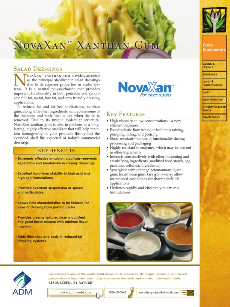 ADM Xanthan Applicstions Dressings | PDF | Salad | Food Ingredients