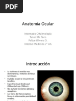 Anatomía y Patología de La Papila Óptica | PDF | Retina | Ojo humano