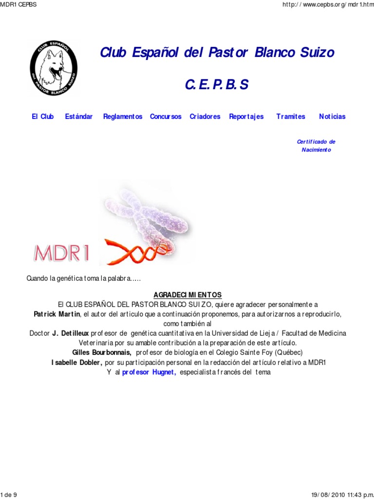 Gen Mdr1 y Drogas A Tener en Cuenta | PDF | Gene | Dominancia (Genética)