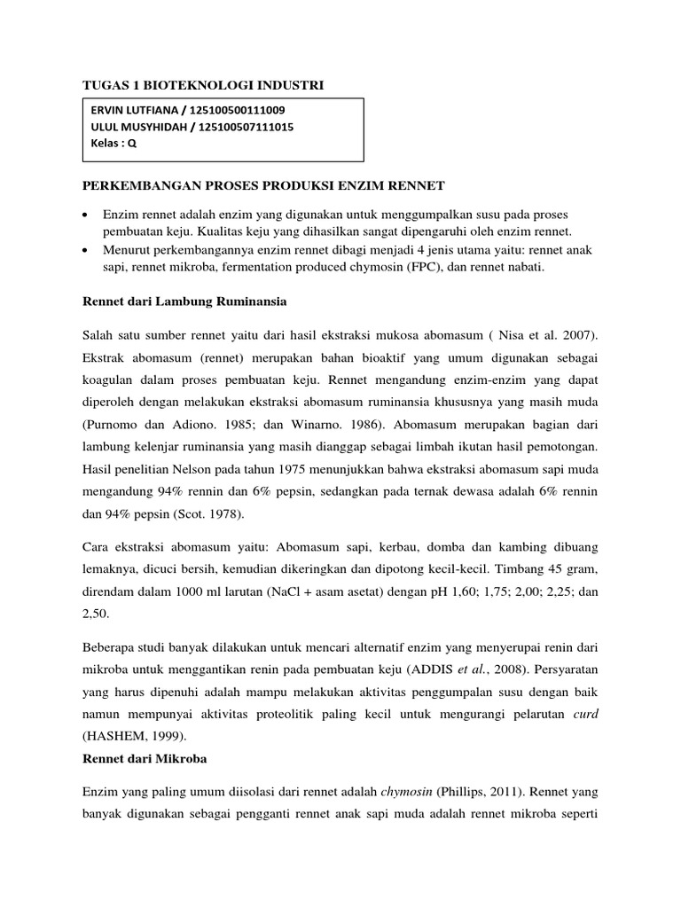 Proses Produksi Enzim Rennet untuk Keju | PDF