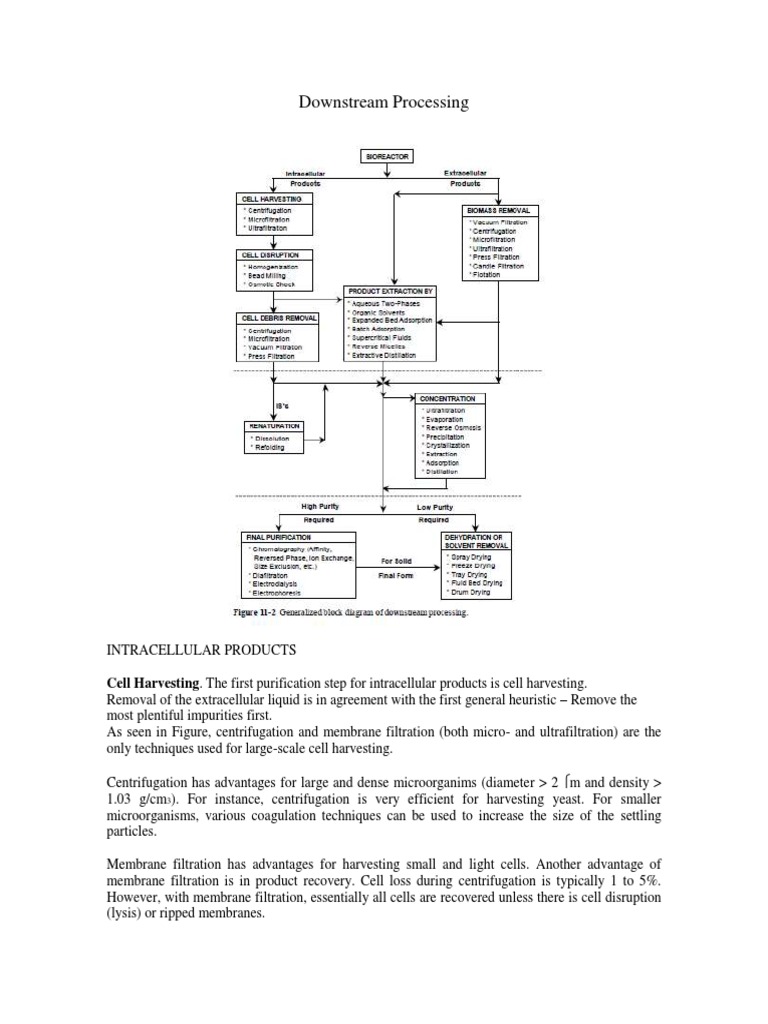 Downstream Processing | PDF | Protein Purification | Filtration