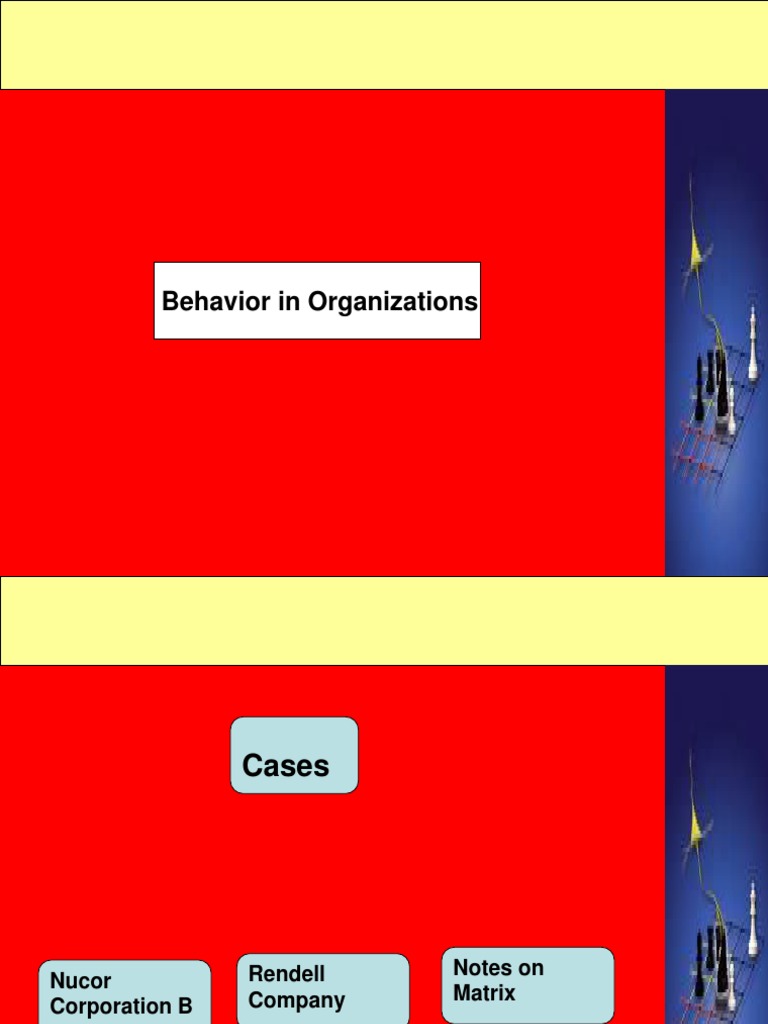 Goals Congruence | PDF | Goal | Behavior
