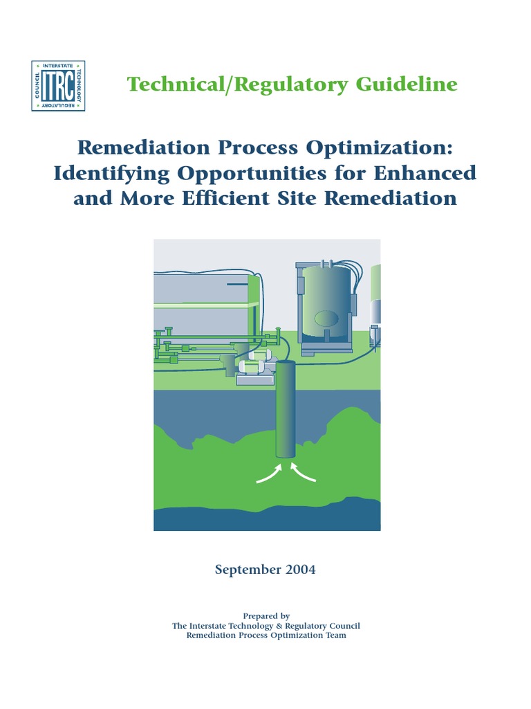 Remediation Process | PDF