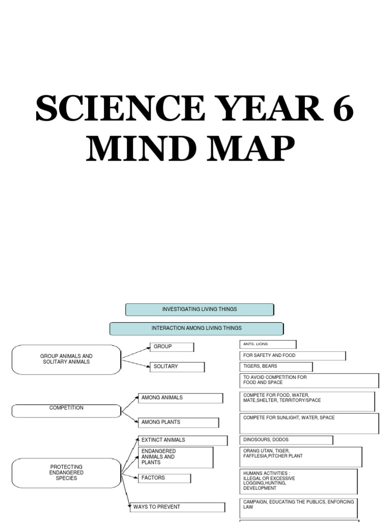Year 6 Science Mind Map Overview | PDF | Food Preservation | Foods