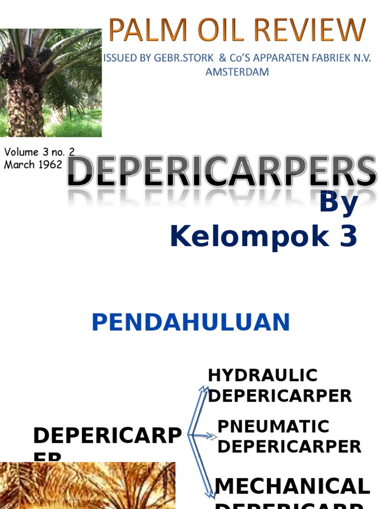 Palm Oil Review | PDF | Griya & Taman