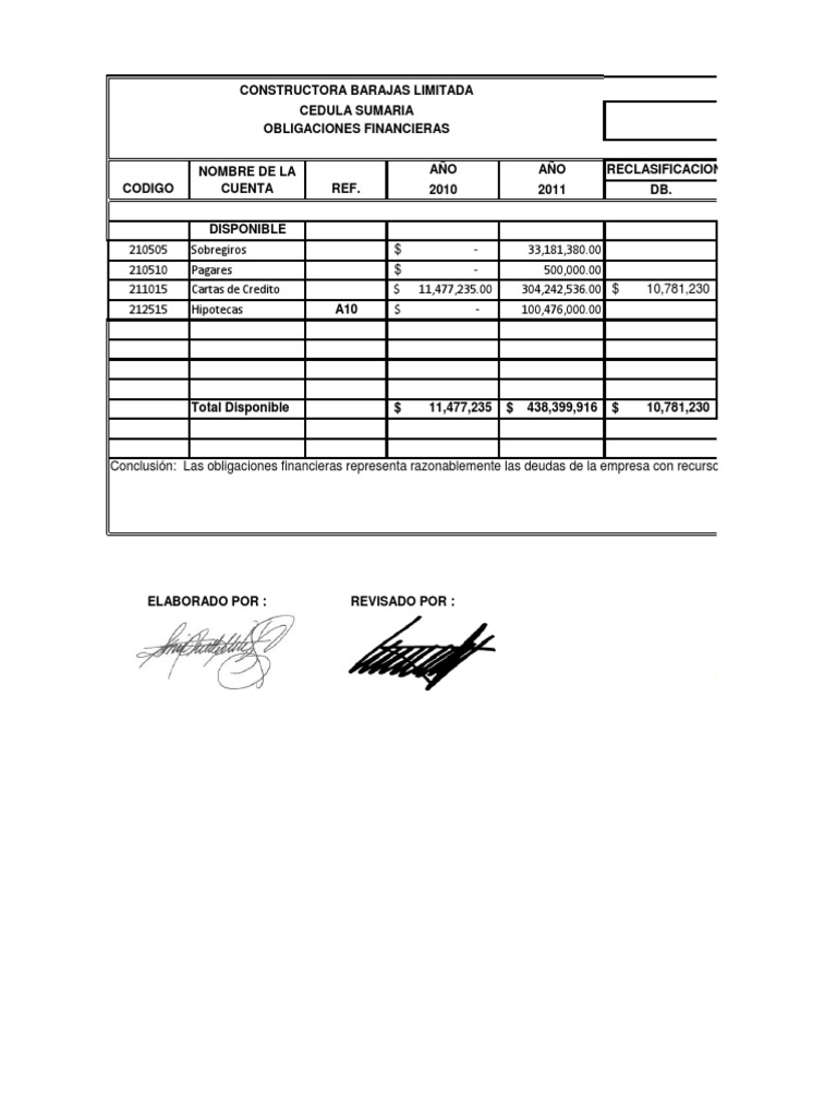 Cedulas Sumarias y Analiticas | PDF