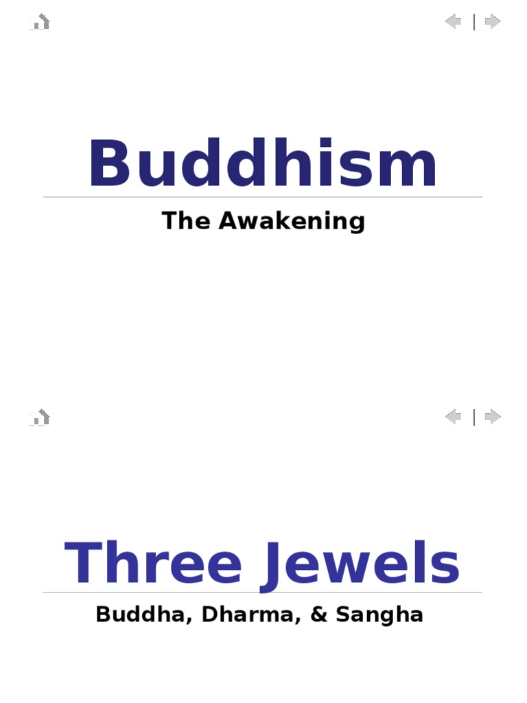 The Awakening | PDF | Religion & Spirituality