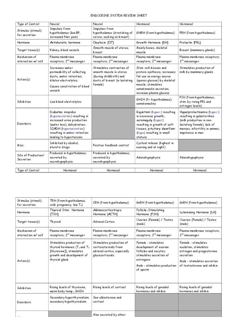 Endocrine System Review Sheet | PDF | Hormone | Cortisol