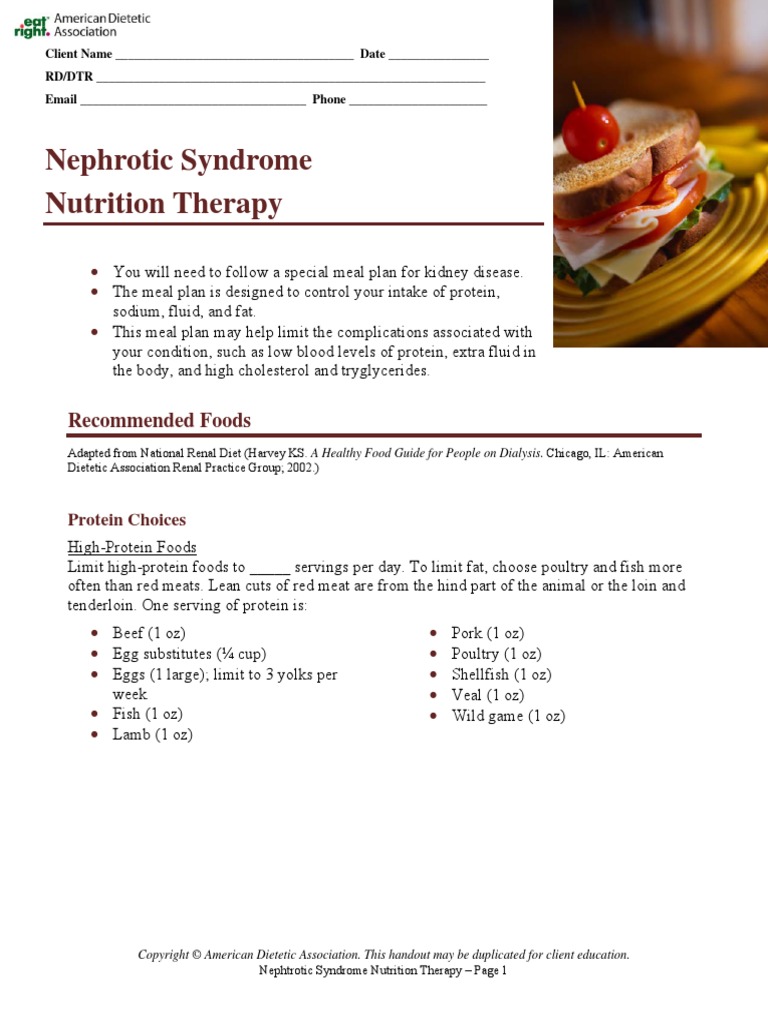 Nephrotic Syndrome Nutrition Therapy: Recommended Foods | PDF ...