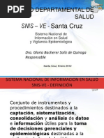 Guia Informacion Basica Del SNIS-VE | PDF | Información | Planificación